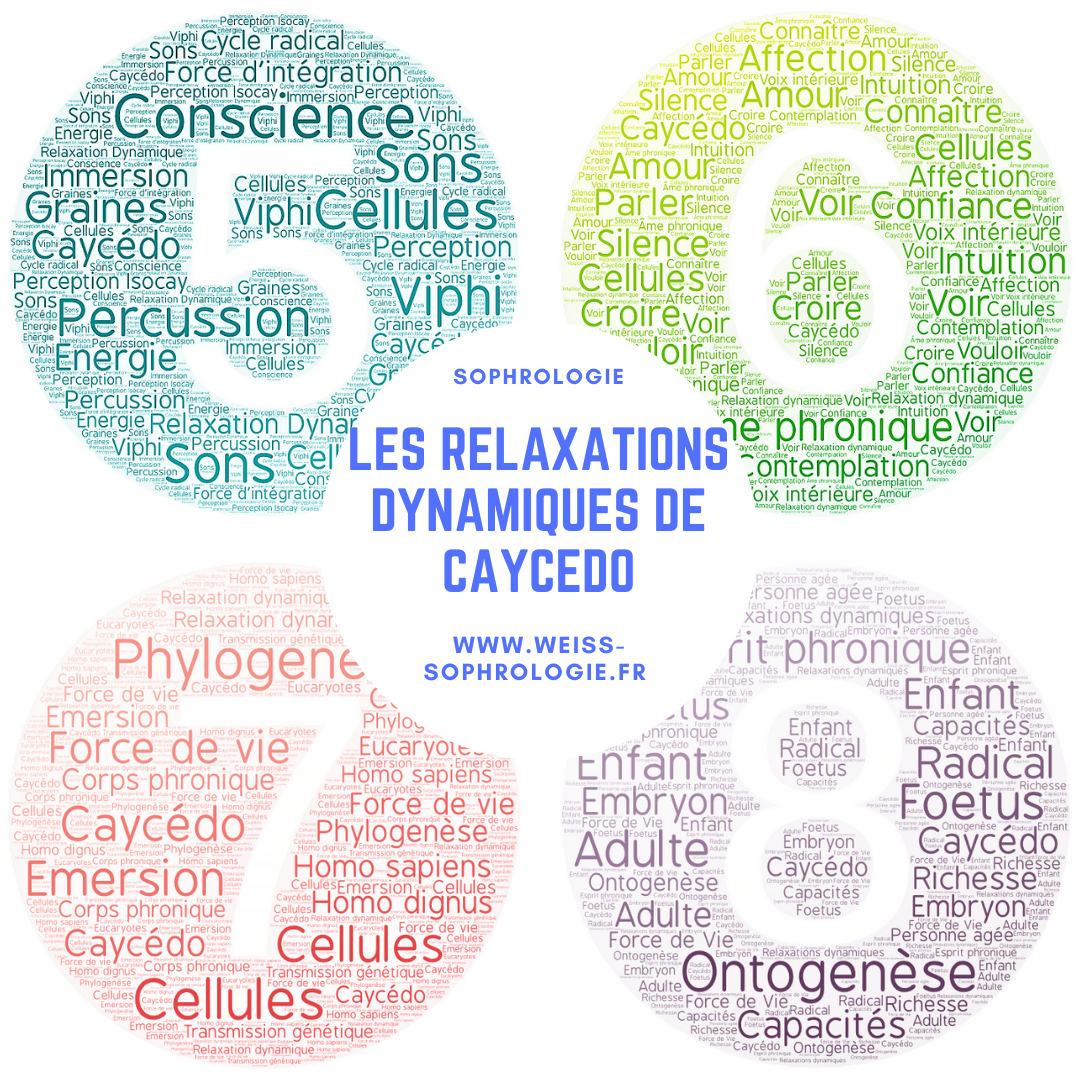 Les relaxations dynamiques de Caycedo 5 à 8 - Charlotte Weiss ...